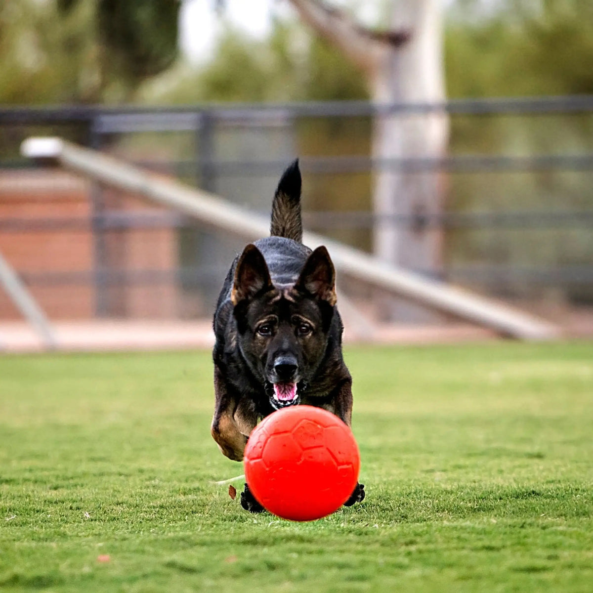 Jolly Soccer Ball – Willow & Co Home